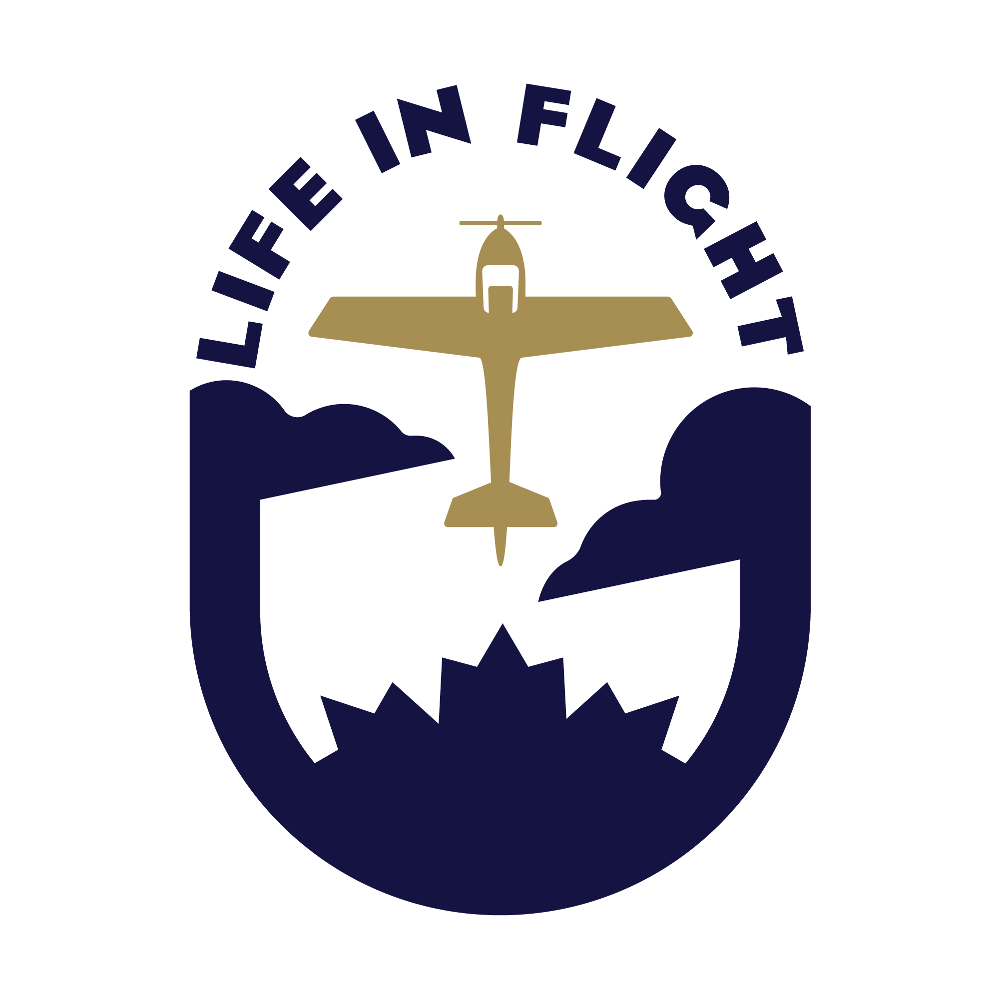 Life in Flight - MFC Training